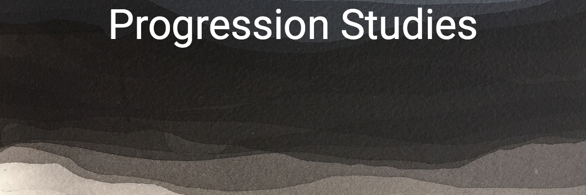 PROGRESSION STUDIES – Stefan Lehmann